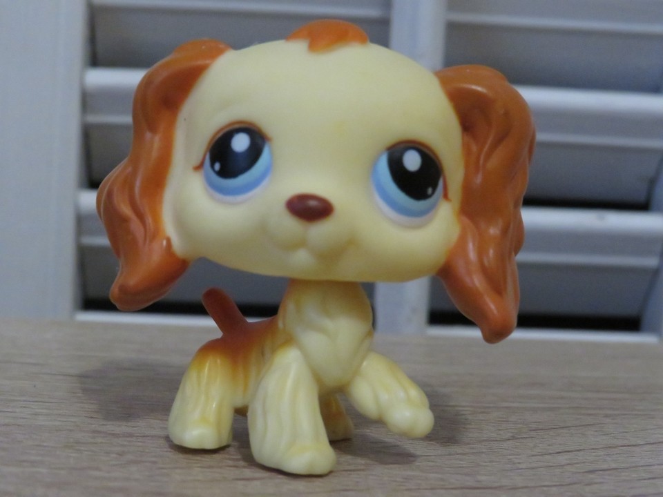 Littlest Pet Shop LPS Cocker Spaniel Dog Yellow Tan w/ Blue Eyes #298 ...