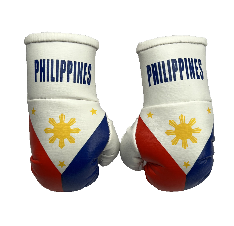 PHILIPPINES / FILIPINO / PILIPINO Flag Mini Gloves Ornament Car hanging ...