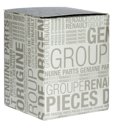 Original 430855811R Renault Master III Abdichtungsring Achsschenkel ...