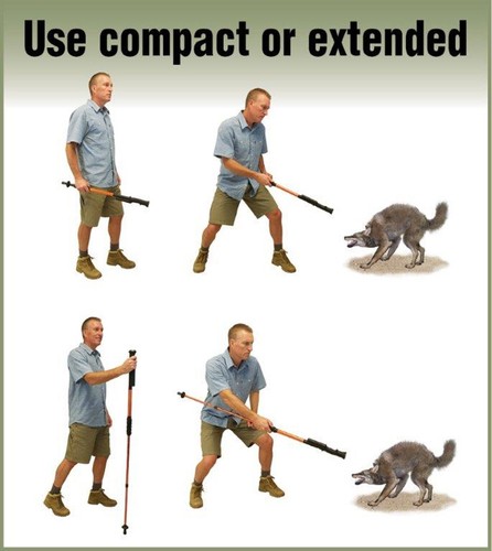 ZAP Hike 'n Strike Stun Gun Walking Hiking Stick with Flashlight ...