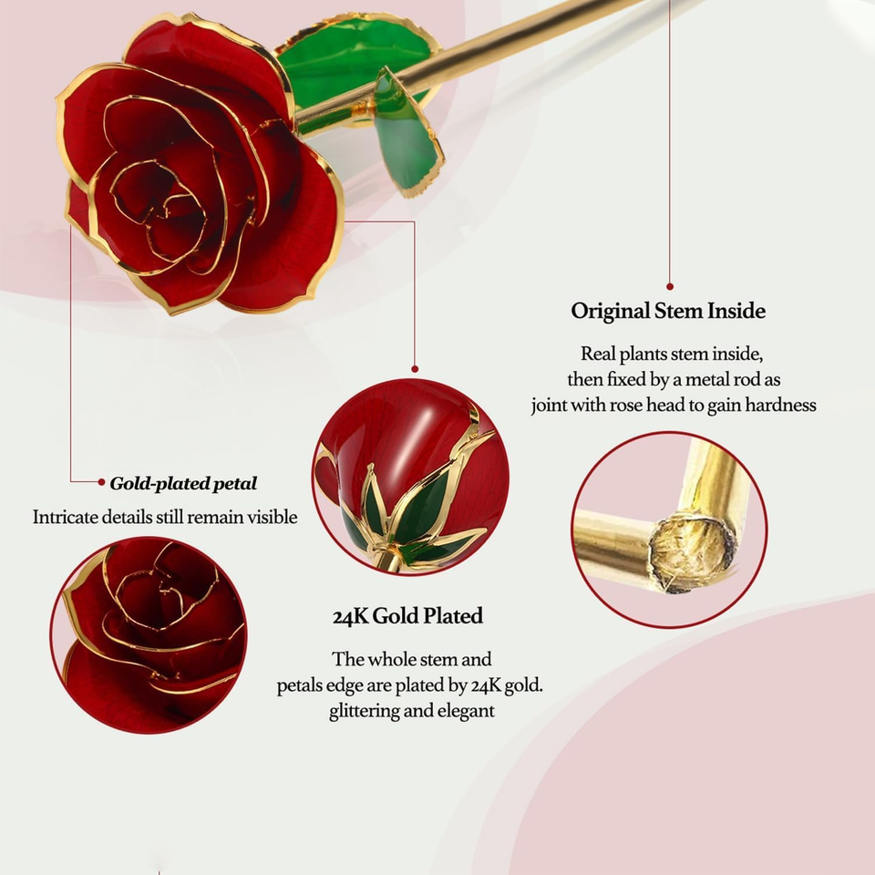 Gold Dipped Rose 24K Red Gold Plated Rose - Everlasting Long Stem Real ...