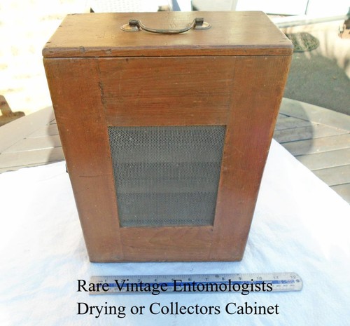 Vintage 7 Drawer Butterfly Entomologists Specimen Drying or Collectors ...