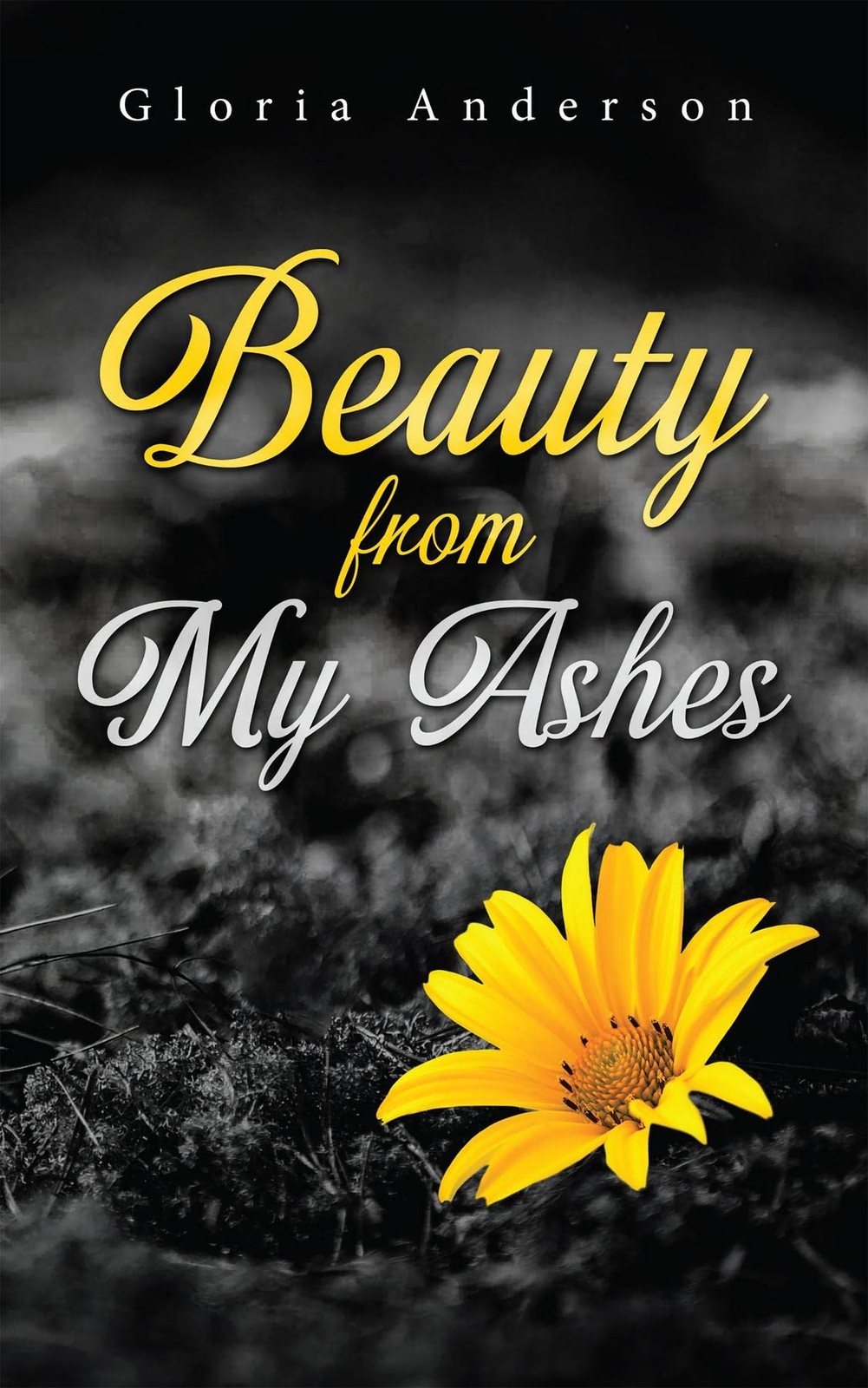 Gloria Anderson Beauty From My Ashes (Hardback) 9781684863839 | eBay