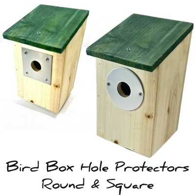 Aluminium Bird Box Protectors 25 - 32mm Ø Blue Tit Great Tit Sparrow ...