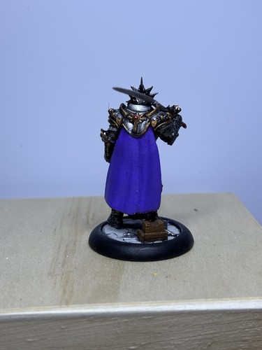 28mm Champion Of Faith Miniature Pathfinder 5 Ed Dungeons & Dragons ...