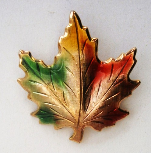 L855) Vintage gold tone enamel autumn Canadian maple leaf brooch badge ...