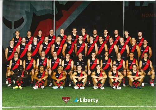 LAMINATED 2024 Essendon bombers Afl football team poster, BARGAIN , BIG ...