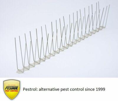 Bird Repelling Spikes Vertical Design Stainless Spikes - 10 x 50cm ...