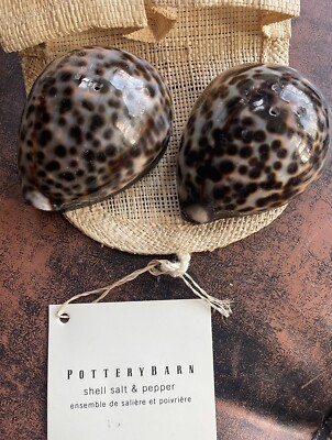 Set Of 2 Pottery Barn Cowrie Shell Resin Base Salt & Pepper Shakers NEW ...