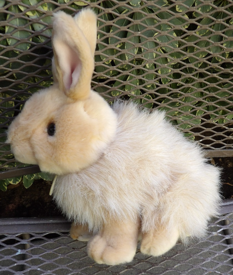 Miyoni By Aurora Rabbit Realistic Plush Stuffed Animal Bunny ...