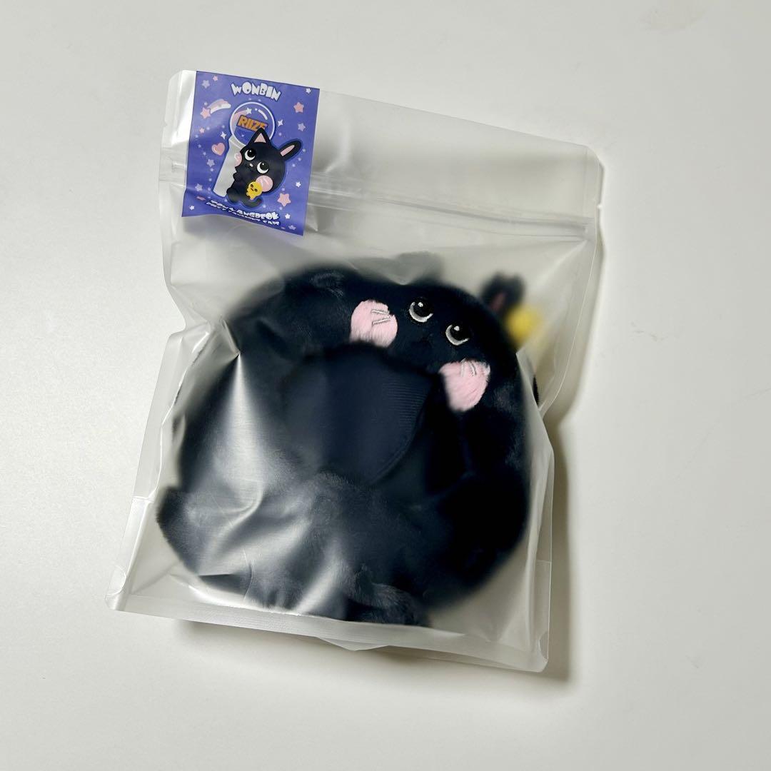 RIIZE Wonbin Penra Cover Plush Toy Rise KPOP | eBay