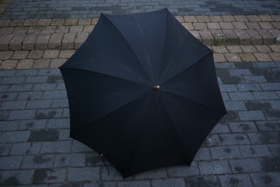 Paragon Fox Umbrella Whangee Bamboo Crook Handle | eBay UK