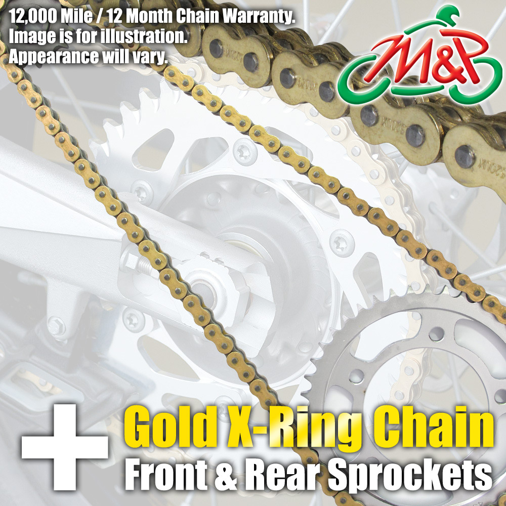 Honda VTR 1000 FV-Y 1-5 Firestorm 2001 Gold XRing Chain and Sprocket ...