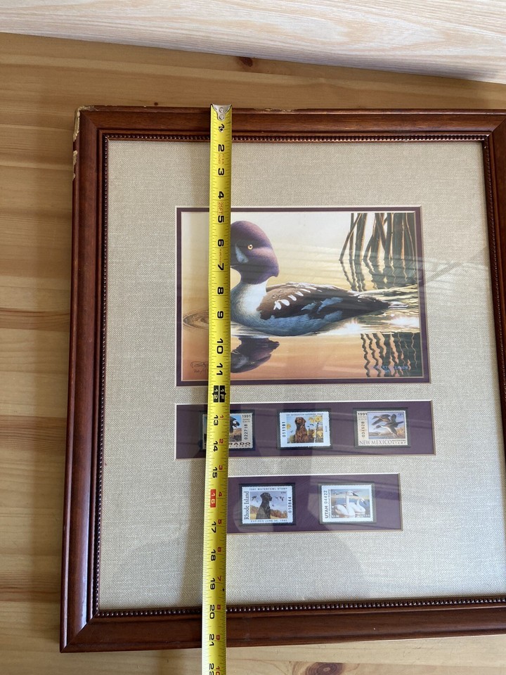 RARE! 1991 Duck Stamp Print ROBERT STEINER Limited Edition Signed Framed 32/950 | eBay