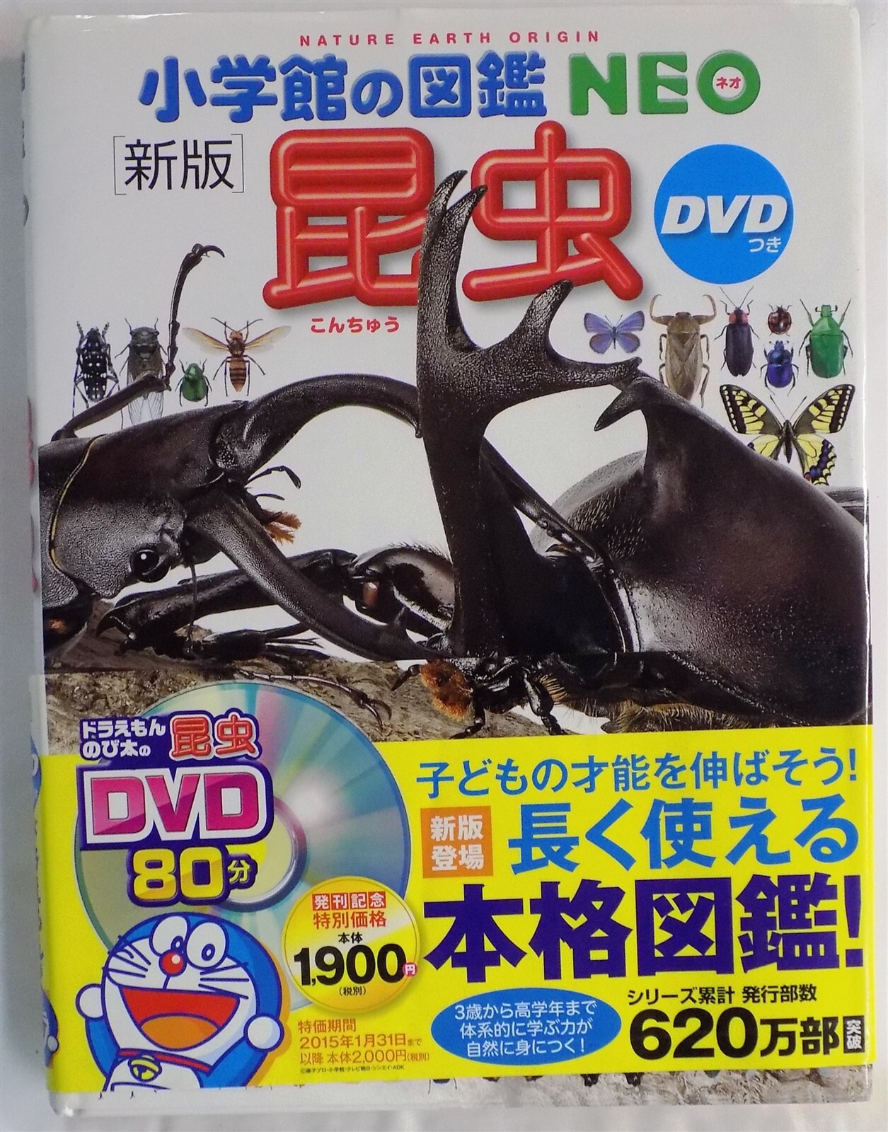 Picture Book NEO Shogakukan DVD with a New Edition Insect JP Oversized ...