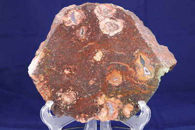 {OOAK} BIRDS EYE JASPER END CUT SPECIMEN - POLISHED! | eBay