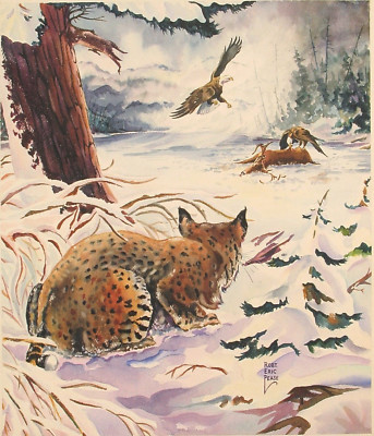 ROBERT BOB PEASE PAINTING MAGAZINE ILLUSTRATION ART BOBCAT WILDLIFE ...