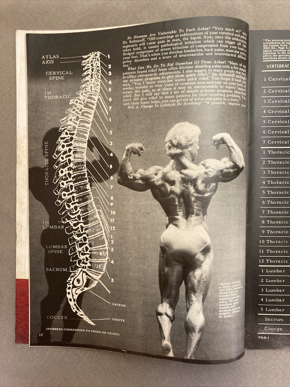Muscle Training Illustrated Magazine / Dave Spector / Winter 1982 | eBay
