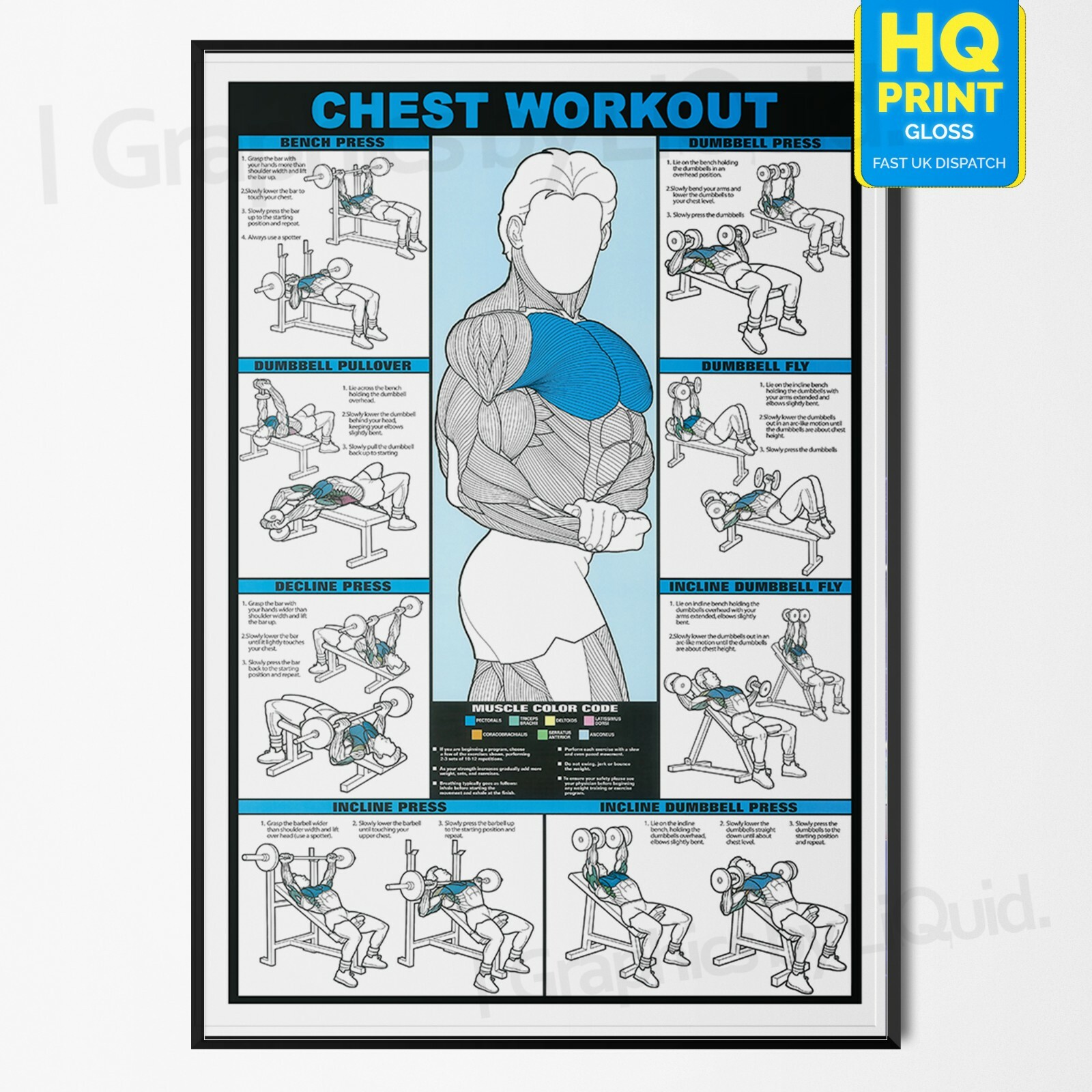 GYM WORKOUT POSTER ALL BODY Abs Bicep Chest Back Tricep Leg Exercise A4 ...