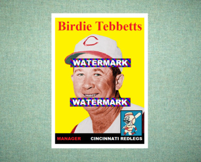 Birdie Tebbetts Cincinnati Redlegs 1958 Style Custom Baseball Art Card ...