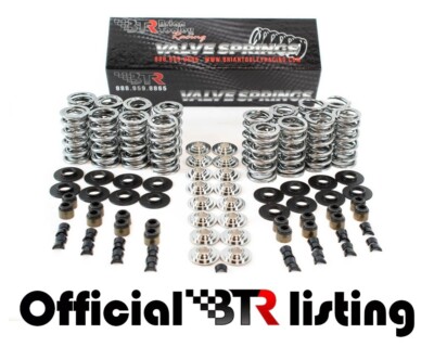 BTR .660" Dual Valve Spring Kit Titanium Retainer - 4.8/5.3/6.0/LS1/LS2 ...