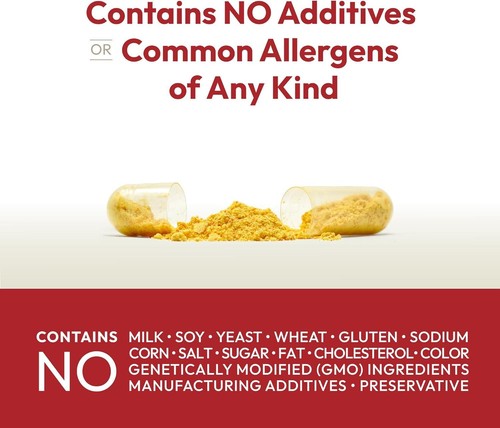 ANDREW LESSMAN High Potency B-Complex 60 Capsules - with High Levels of ...