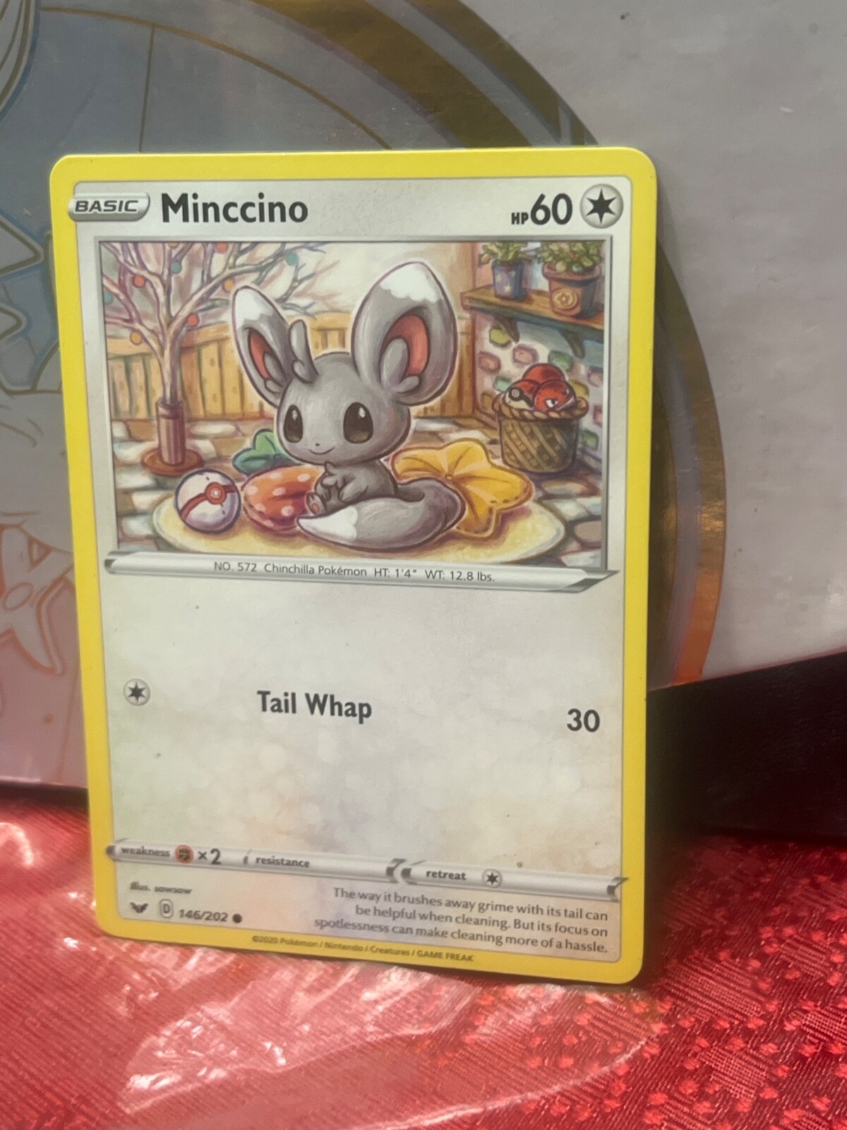 Minccino 145/202 | Common | SWSH Pokemon Card 2020 | eBay