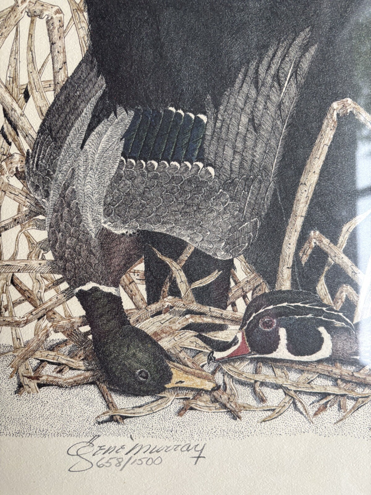 Black Lab w/Ducks Limited Edition by Gene Murray | eBay Australia