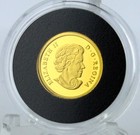 2013 Bald Eagle 99.99% Pure Gold 50-cent Proof Coin, 1/25 Troy oz, Un ...