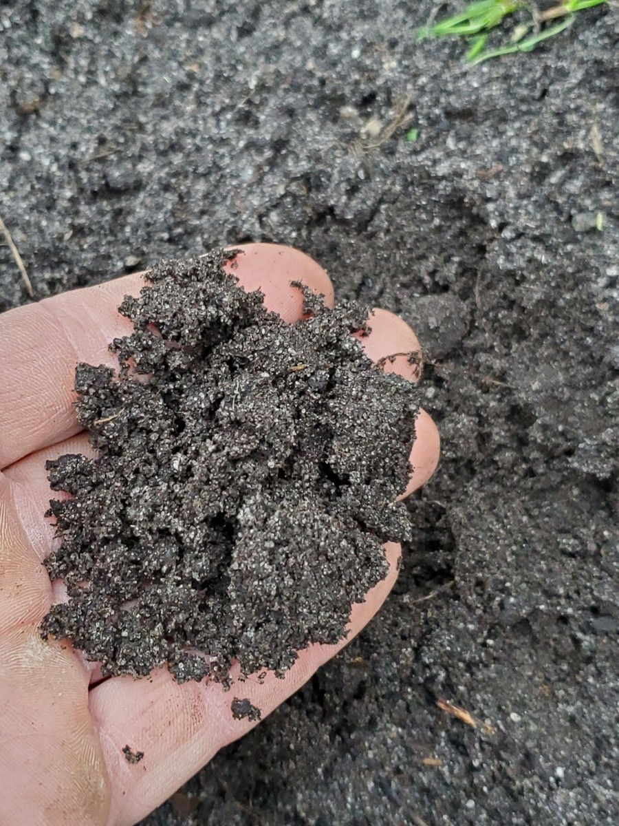 Black Rich Soil Black Soil Photos, Download The BEST Free Black Soil