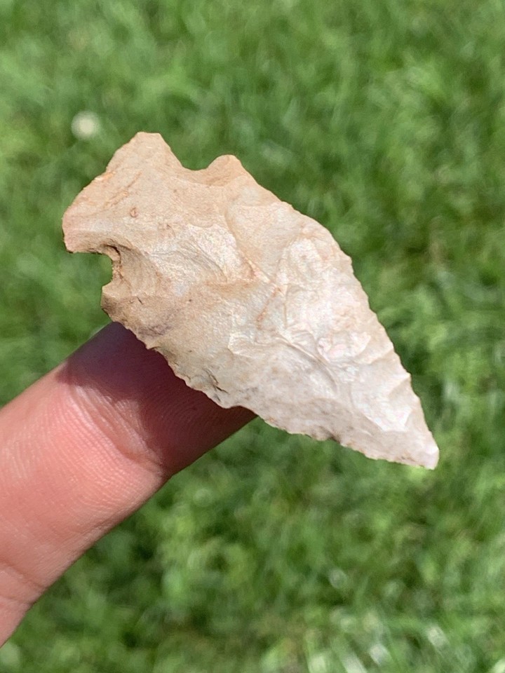 Authentic Jacks Reef Arrowhead 1 5/8 Inch Ohio Co Kentucky Tan Ft Payne ...