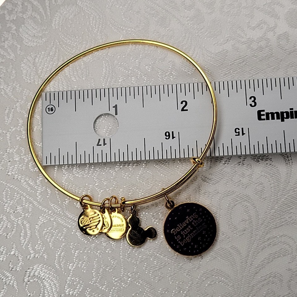 Alex and Ani Disney women's bracelet Believe Tinker Bell purple charm ...