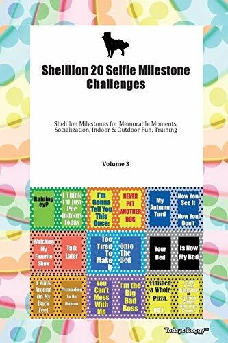 Shelillon