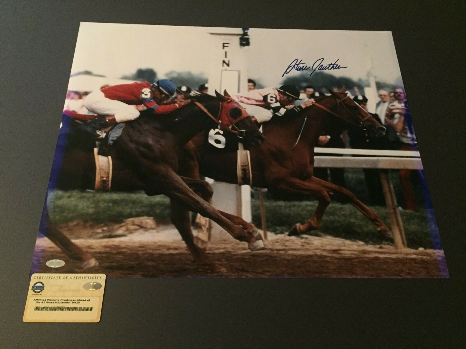Steve Cauthen Autographed Memorabilia | Signed Photo, Jersey ...