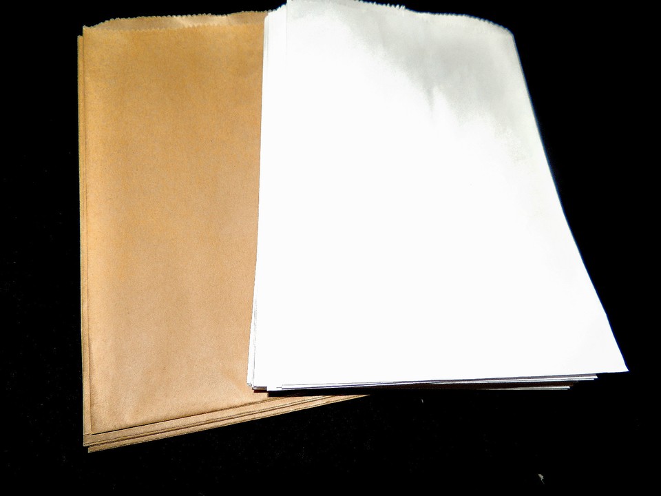 30 6x9 White, Kraft or Both Party Paper Merchandise Bags, Party Favor ...
