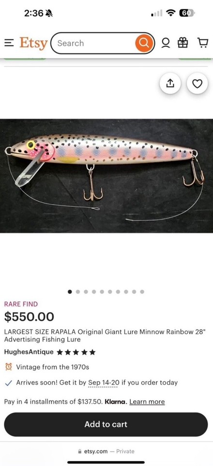 RAPALA Original Giant Lure The Original Finnish Minnow 28” Rainbow ...