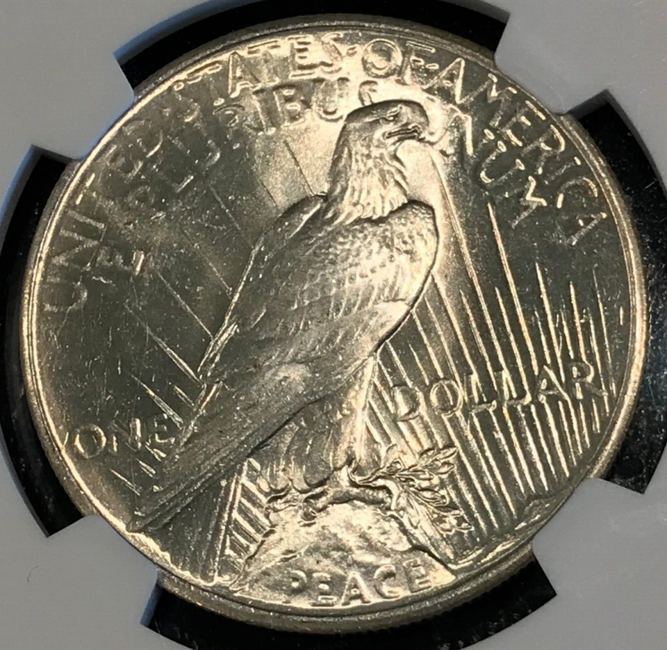 NGC 1925 P MS62 PEACE SILVER DOLLAR COIN-STRONG DETAILS-MAR177 | eBay