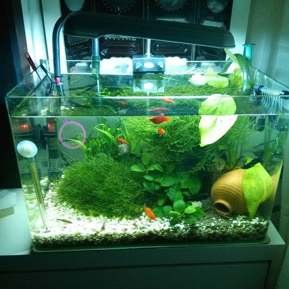 5 PCS Practical Scoop Net Tropical Fish Tank Accessories Aquarium ...
