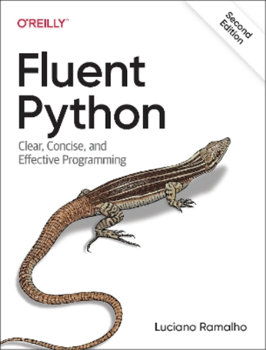 Luciano Ramalho Fluent Python (Poche) 9781492056355 | eBay