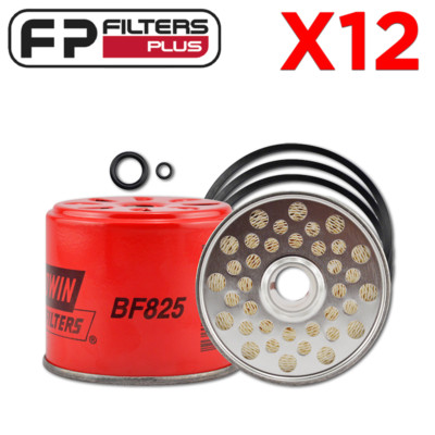12 PACK of BF825 Fuel Filter (RYCO R2132P) - Suits 5836B100 Delphi CAV ...