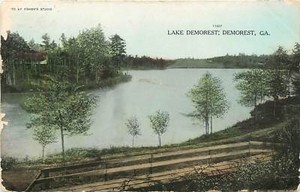 Georgia, GA, Demorest, Lake Demorest 1908 Postcard | eBay