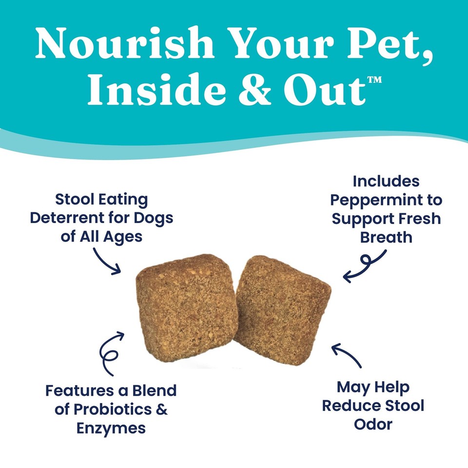 Solid Gold No Poo Chews for Dogs | Coprophagia & Stool Eating Deterrent ...