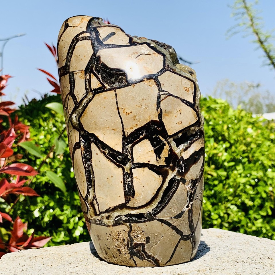 6.04LB Natural Turtle Back Stone Dragon Crystal Cave Crack Gem Healing ...