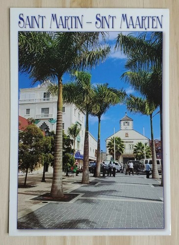 Postcard Saint Martin Sint Maarten Palm Trees Antilles West Indie ...