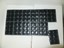Set of 10 SHEETS 1206 Tray Inserts Packs New Plastic (720 cells; fills ...