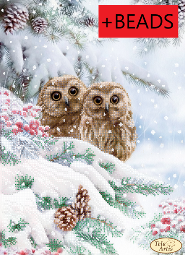 DIY Bead Embroidery Kit or Scheme Winter Owls Beadwork Beaded Craft Set ...