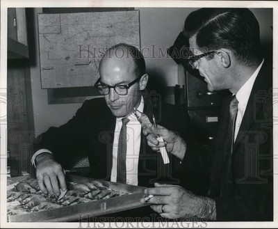 1963 Press Photo Dr. Robert Selander examines birds at University of ...