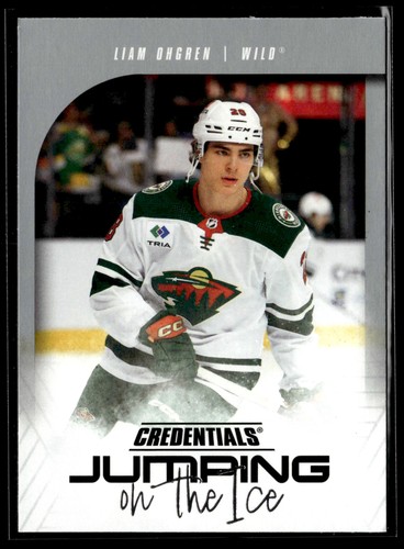 2024-25 Upper Deck Credentials - Jumping on the Ice - #JI-LO Liam ...