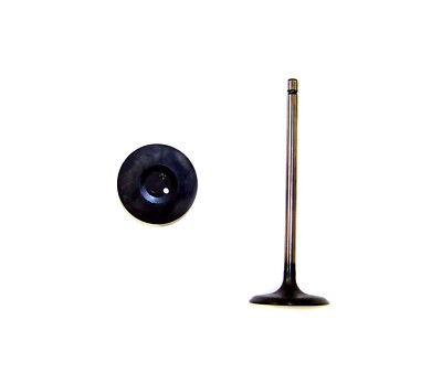 2005-2019 FITS TOYOTA TACOMA 2.7 L4 16V ENGINE CODE 2TRFE INTAKE VALVES ...