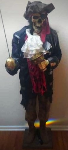 Gemmy Dead Eye Drake Pirate Skeleton RARE Prop Halloween 6ft ...